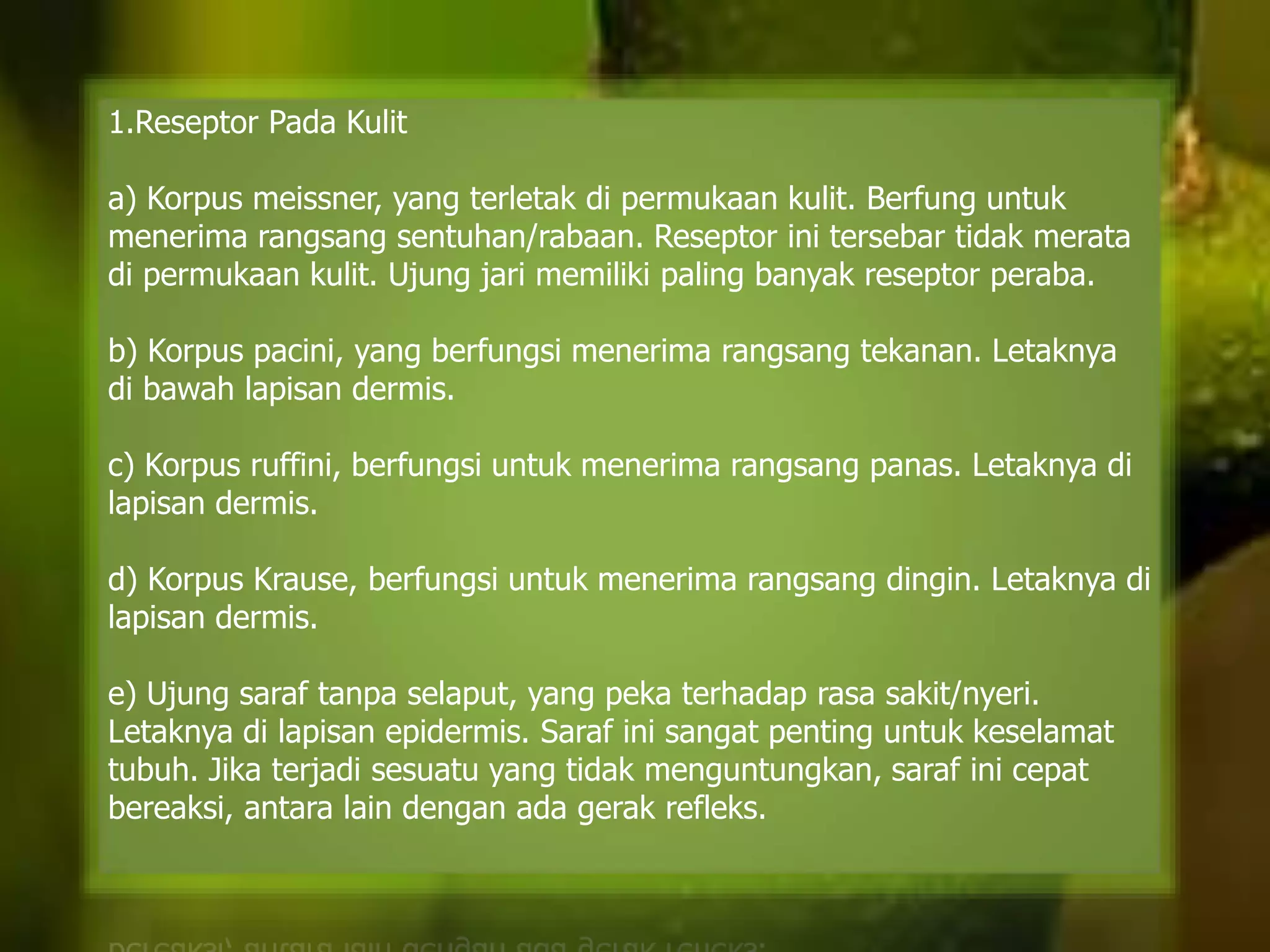 Presentasi Alat Indra peraba dan Indra pendengar Kelas xi ipa 2 | PPTX