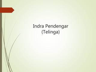 Presentasi Alat Indra peraba dan Indra pendengar Kelas xi ipa 2 | PPT