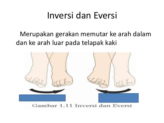 Tulang dan Persendian