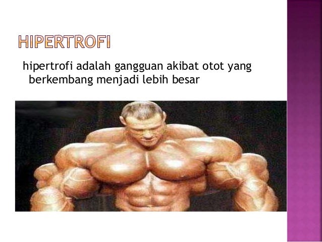 Tulang dan Persendian