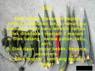 Presentasi Vegetatif Buatan | PPT