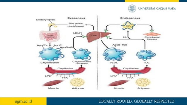 PRESENTASI BIOMAN_JOURNAL READING 2_DIABETES MELLITUS.pptx
