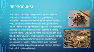 Presentasi Bio XA6 19 & 20.pptx
