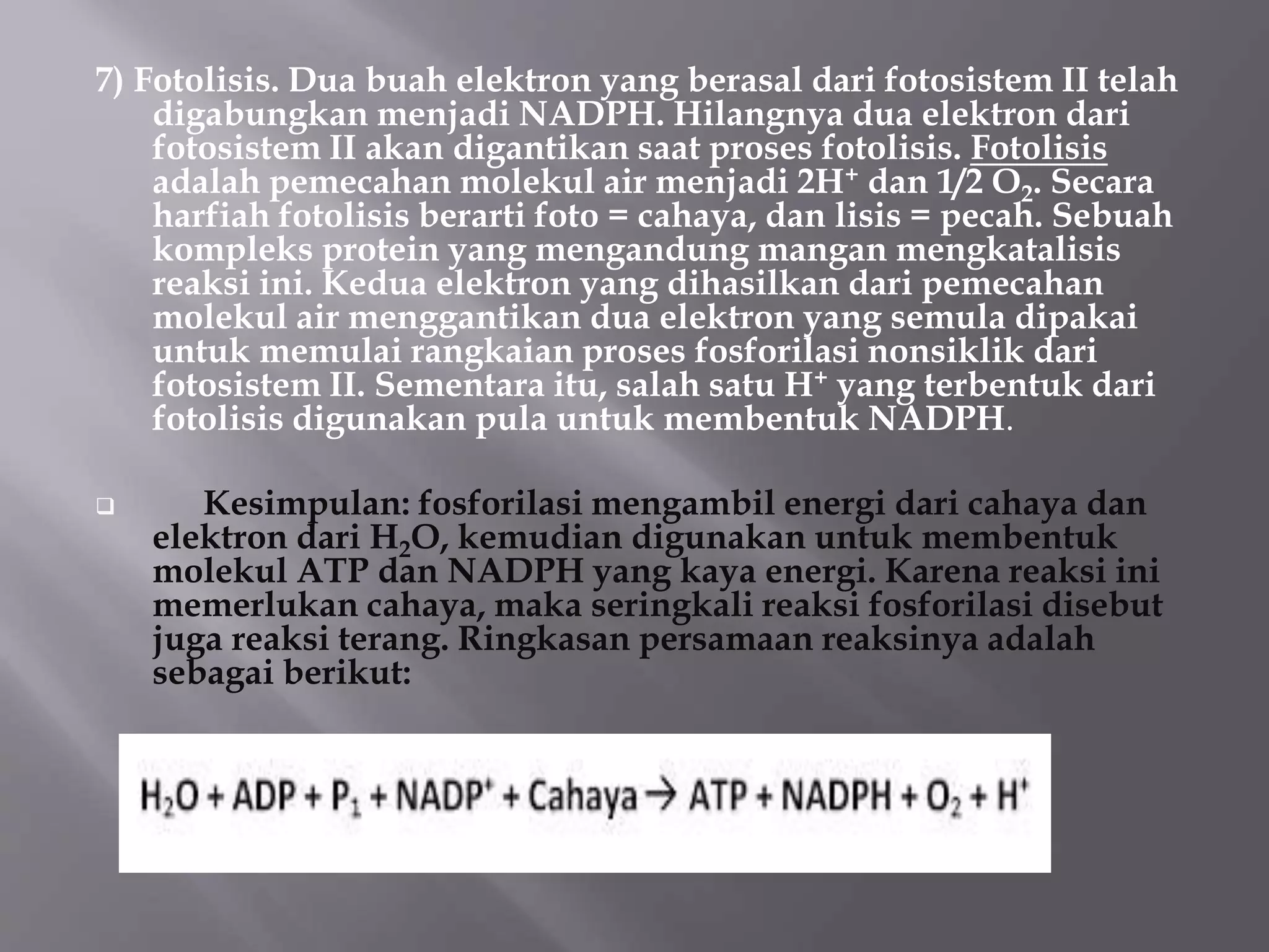 Reaksi Terang Fotosintesis ppt WA | PPTX