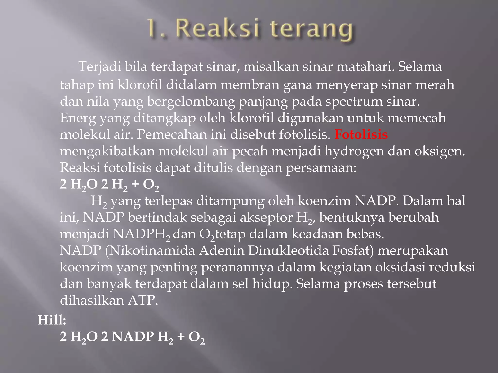 Reaksi Terang Fotosintesis ppt WA | PPTX