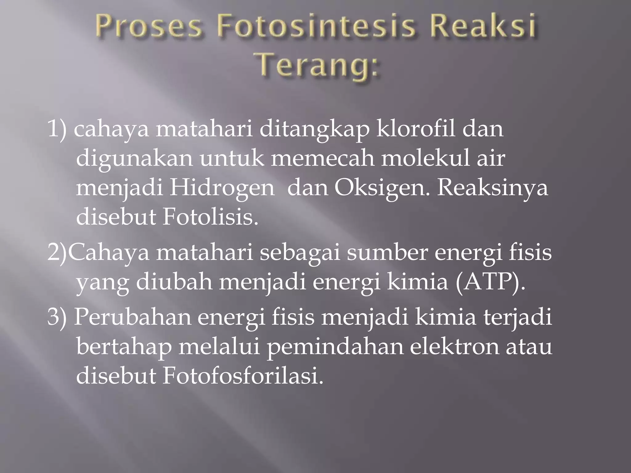 Reaksi Terang Fotosintesis ppt WA | PPTX