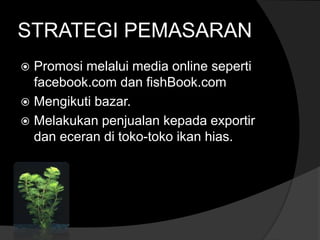 PRESENTASI Budidaya Ikan mas 2.ppt