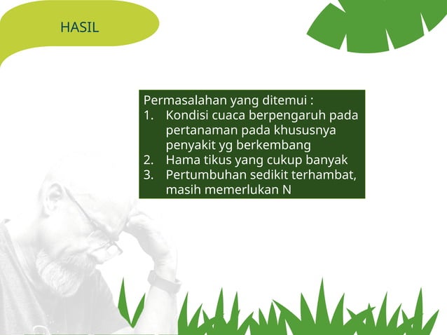 Presentasi Budidaya semangka (Daniel).pptx