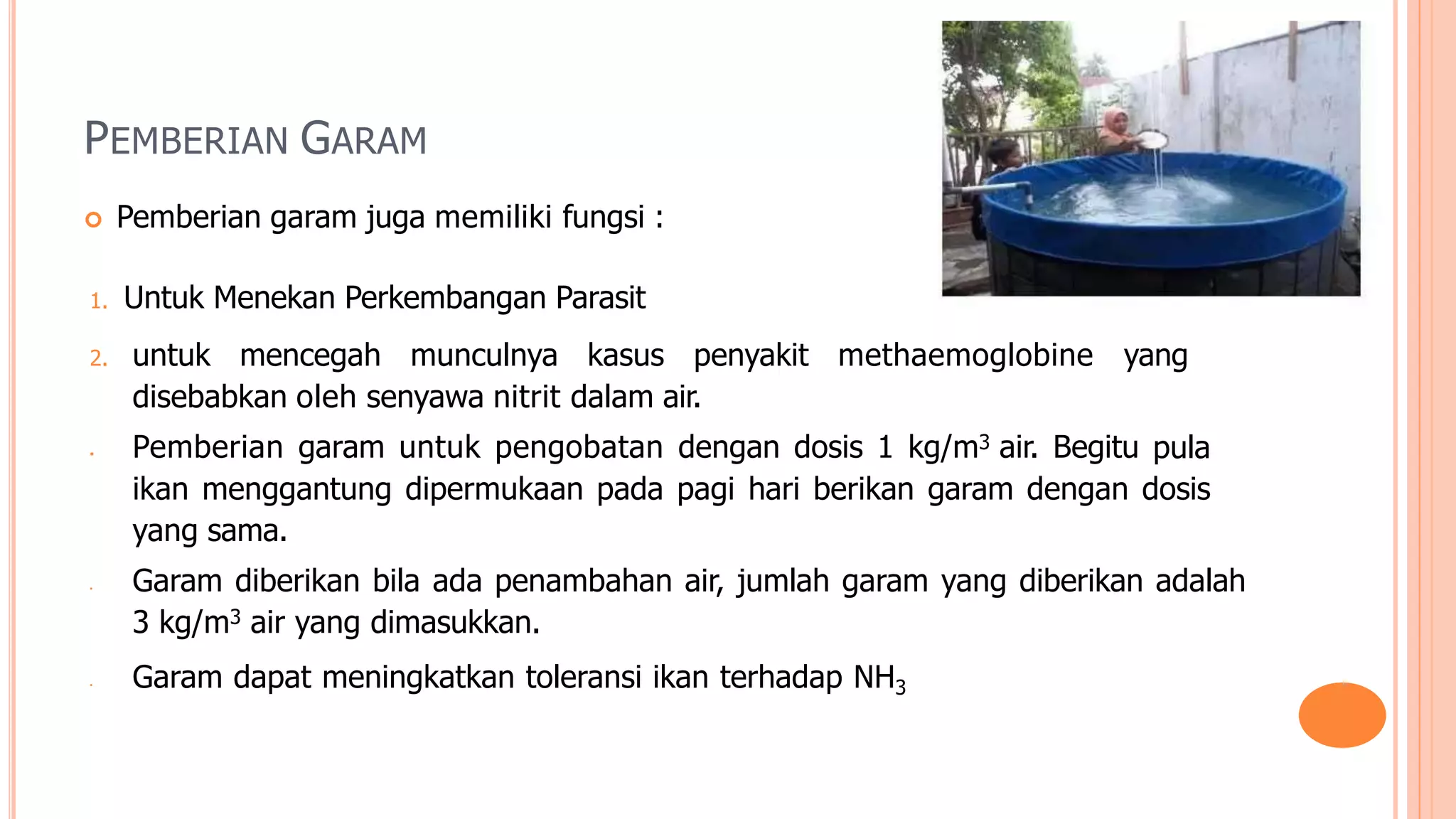 Presentasi Budidaya Sistem Bioflok.pptx