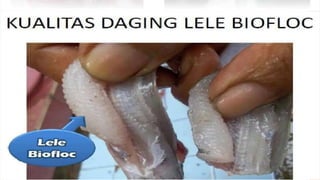 Presentasi Budidaya Sistem Bioflok.pptx