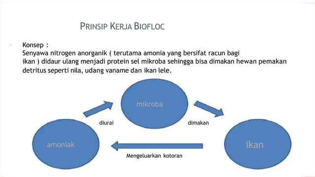 Presentasi Budidaya Sistem Bioflok.pptx