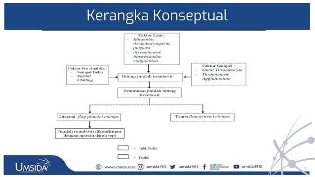 platelet clumping at pseudothrombocytopenia | PPTX