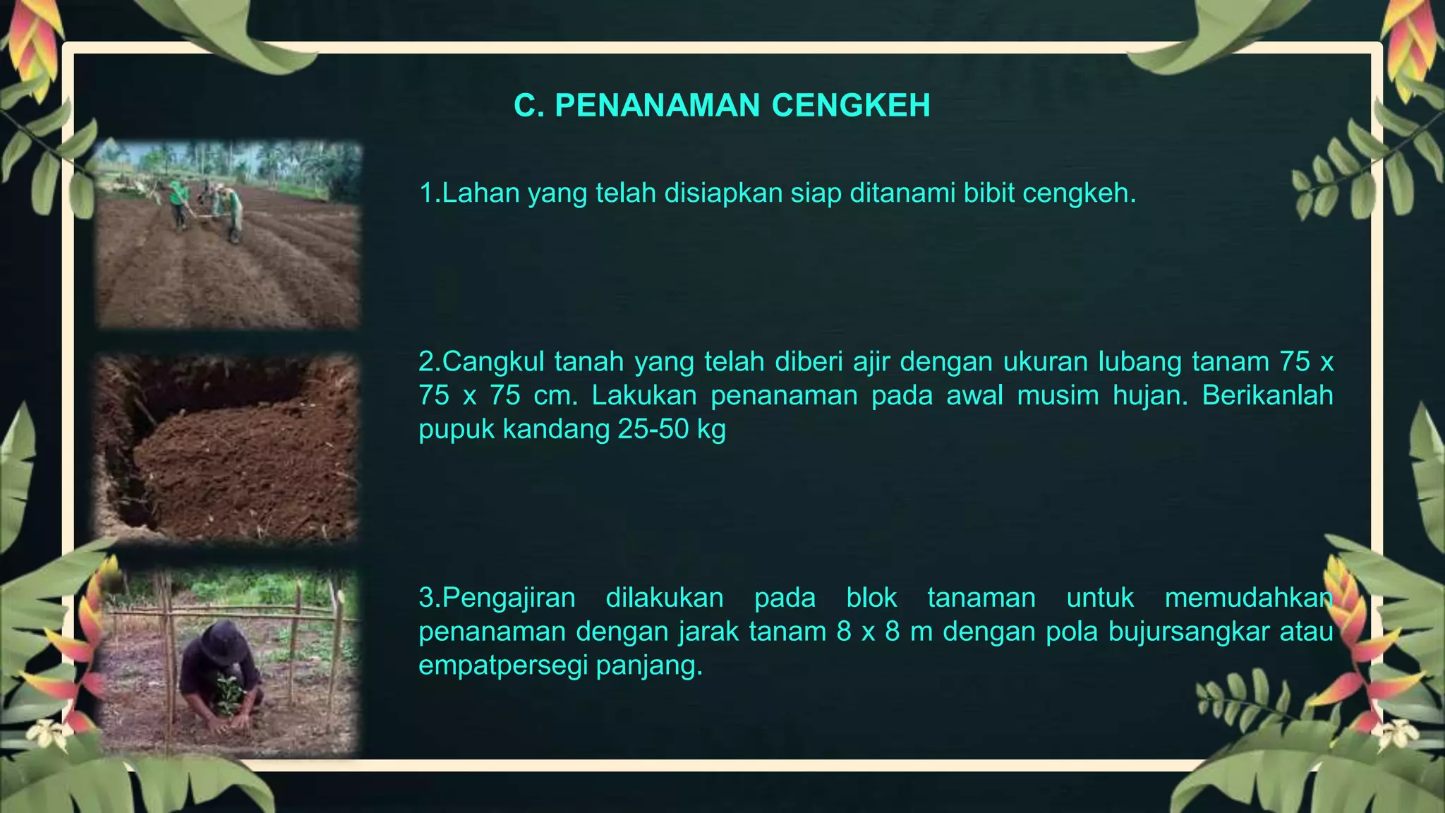 PRESENTASI CENGKEH FIX.pptx