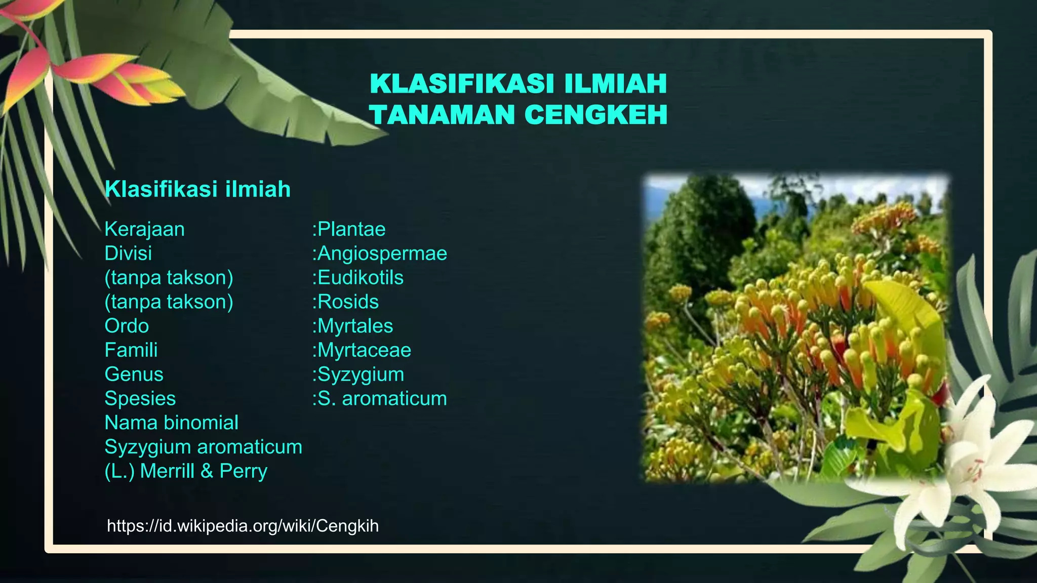 PRESENTASI CENGKEH FIX.pptx