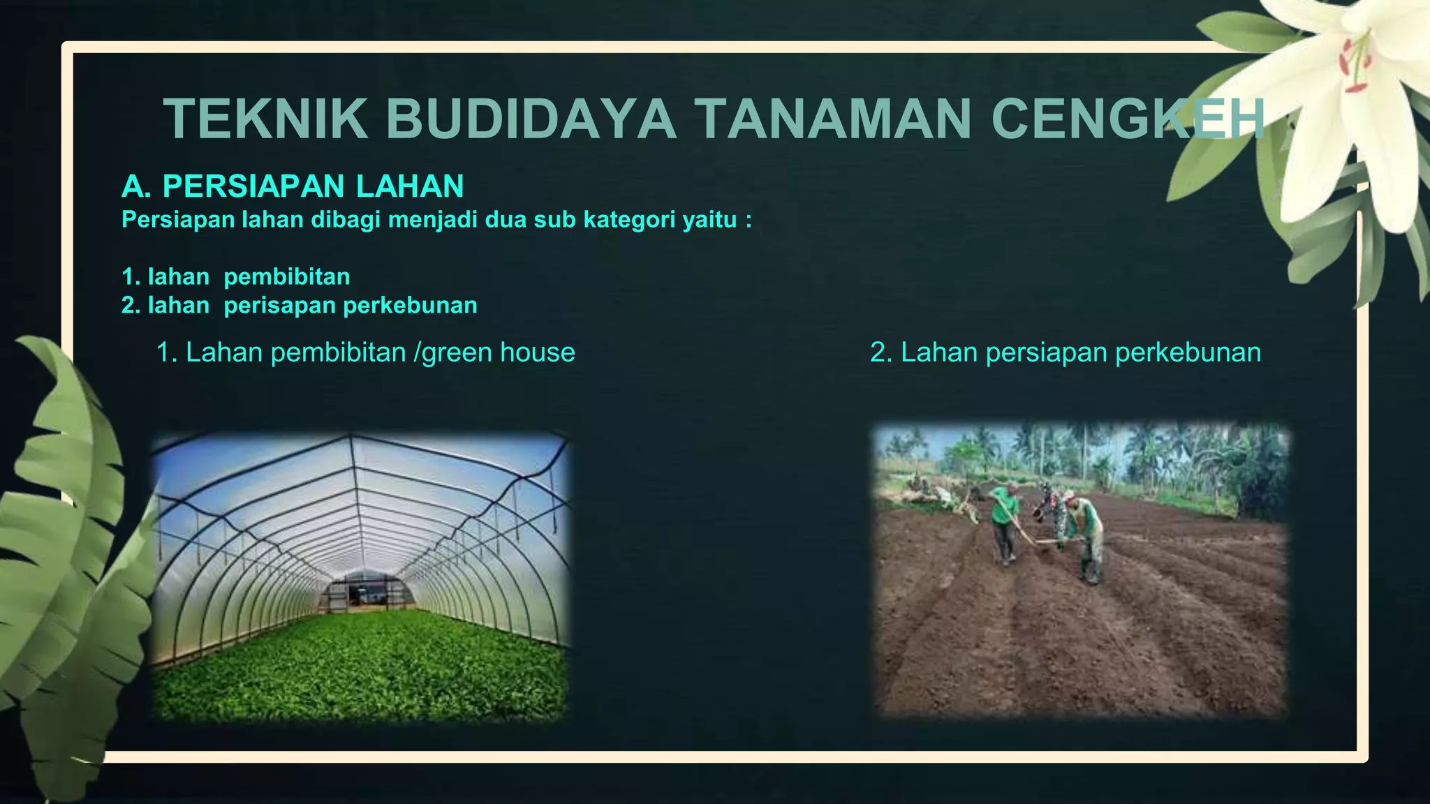 PRESENTASI CENGKEH FIX.pptx