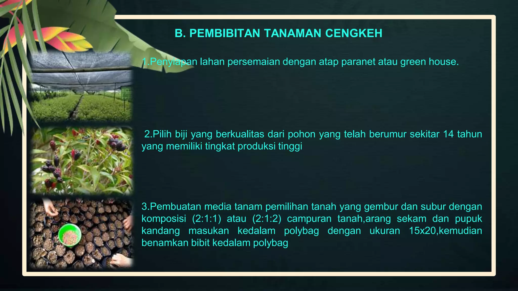 PRESENTASI CENGKEH FIX.pptx