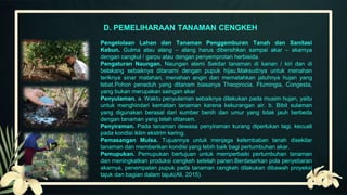 PRESENTASI CENGKEH FIX.pptx