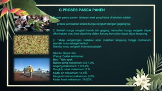 PRESENTASI CENGKEH FIX.pptx