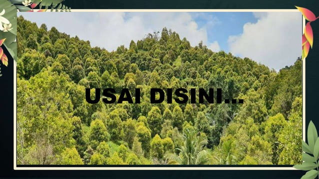 PRESENTASI CENGKEH FIX.pptx