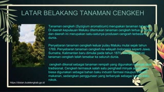 PRESENTASI CENGKEH FIX.pptx