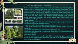 PRESENTASI CENGKEH FIX.pptx