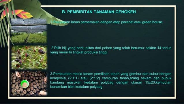 PRESENTASI CENGKEH FIX.pptx