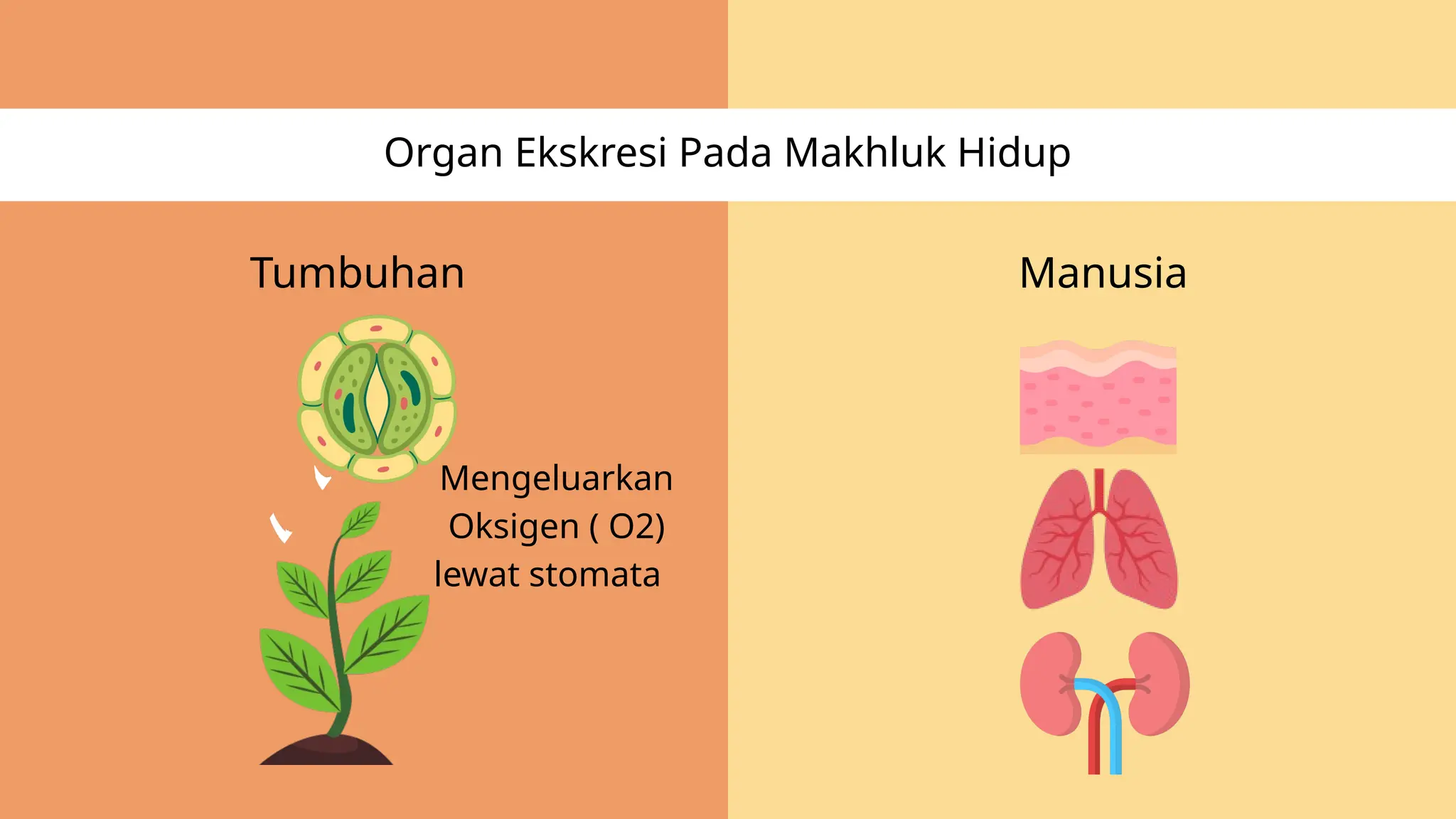 Presentasi Ciri-ciri Makhluk Hidup .pptx