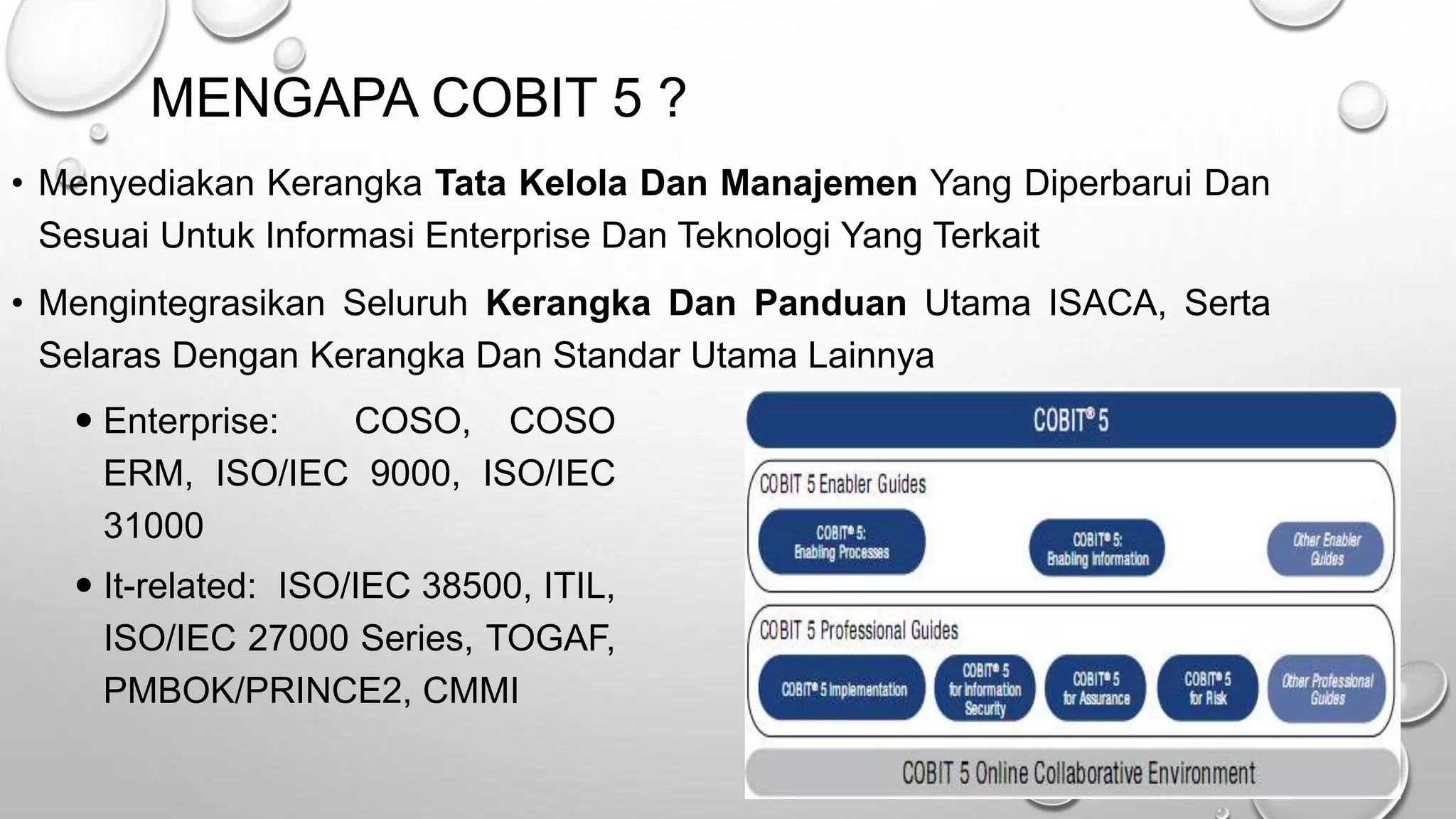 Presentasi COBIT 5 Kelompok 4 (Anita, Agus, Hamsah, Yuna).pptx