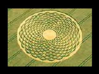 Crop Circle | PPT