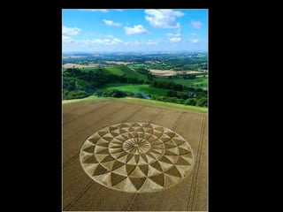 Crop Circle | PPT