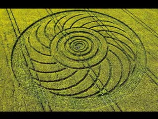 Crop Circle | PPT