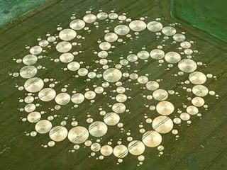 Crop Circle | PPT
