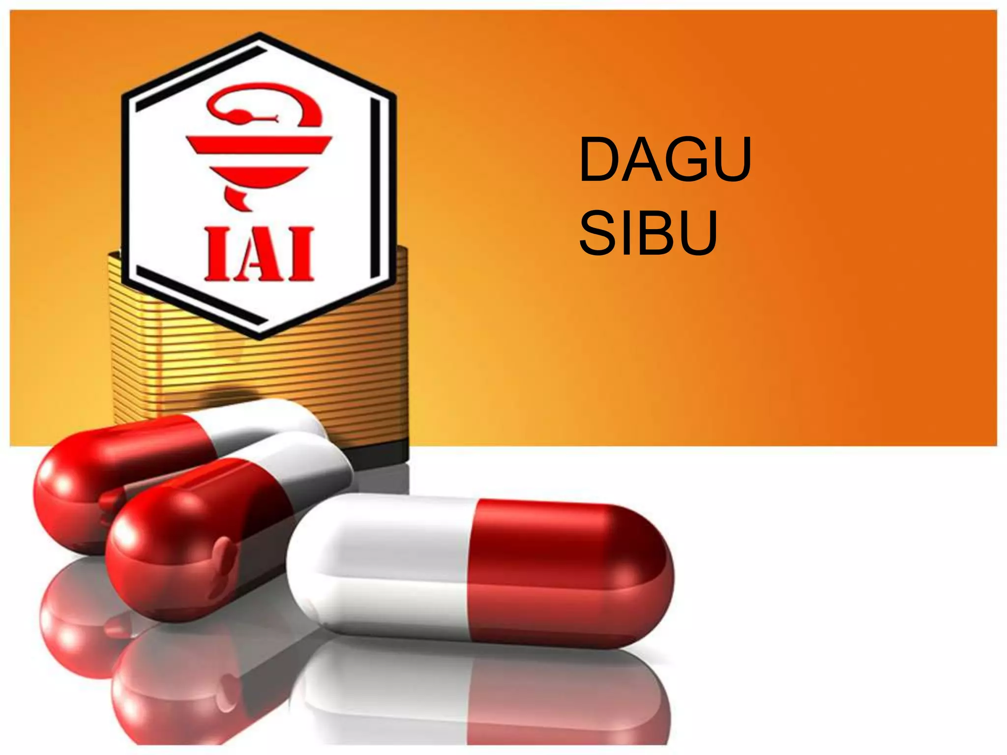 Presentasi DAGUSIBU.pdf