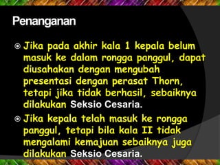 Presentasi dahi | PPTX