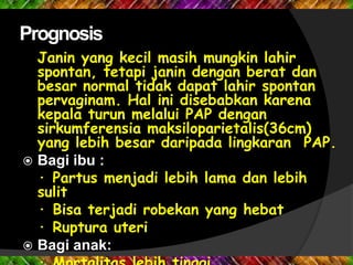 Presentasi dahi | PPTX