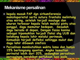 Presentasi dahi | PPTX