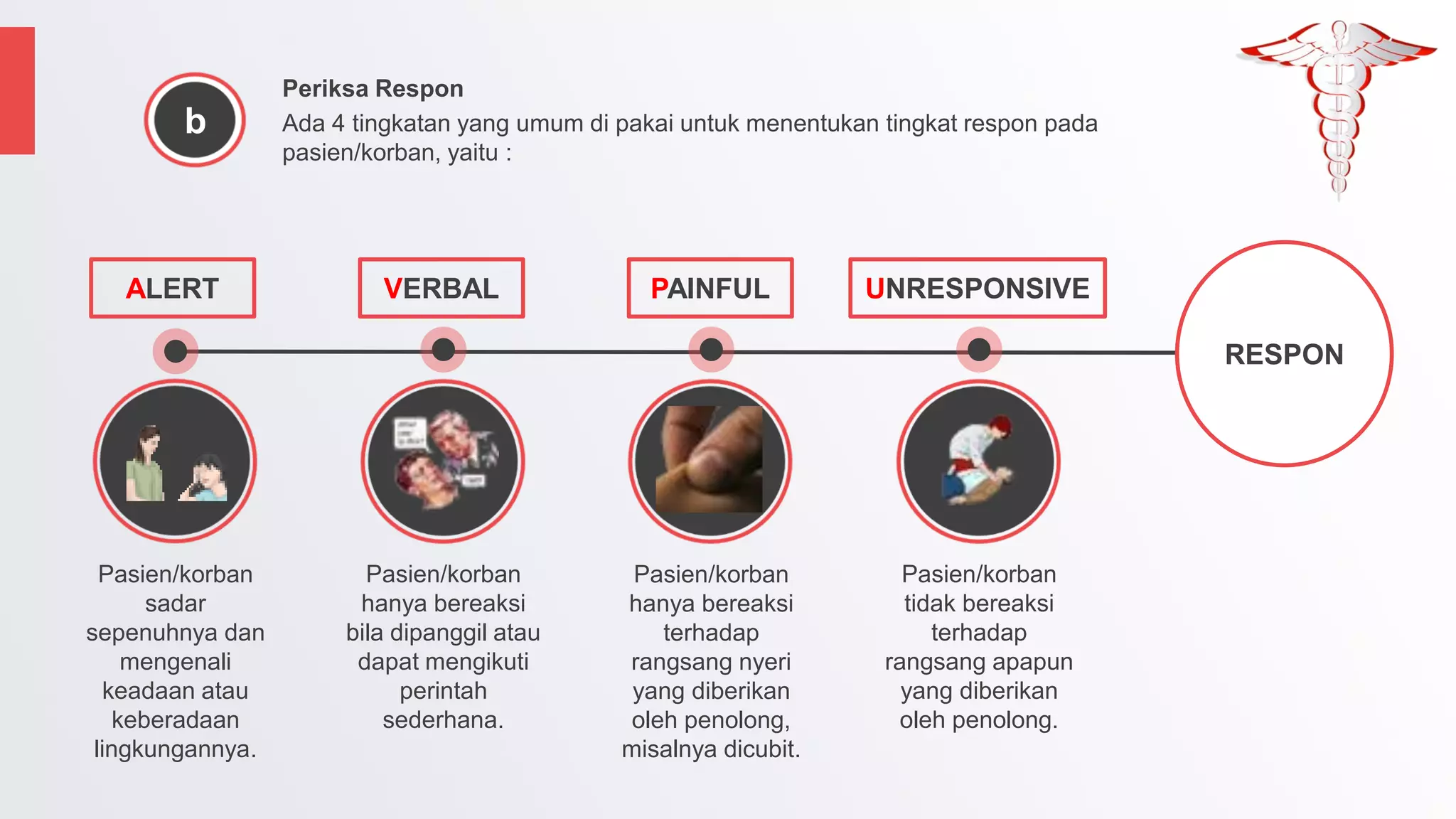 Basic First Aid | PDF