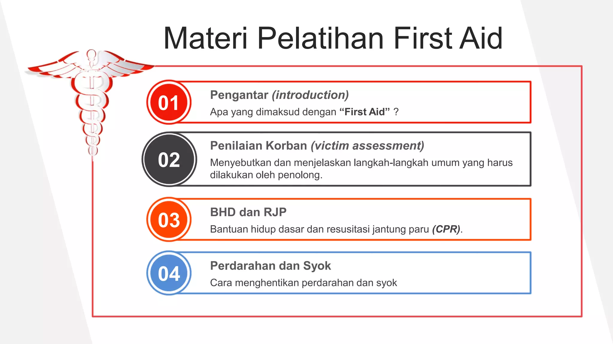 Basic First Aid | PDF