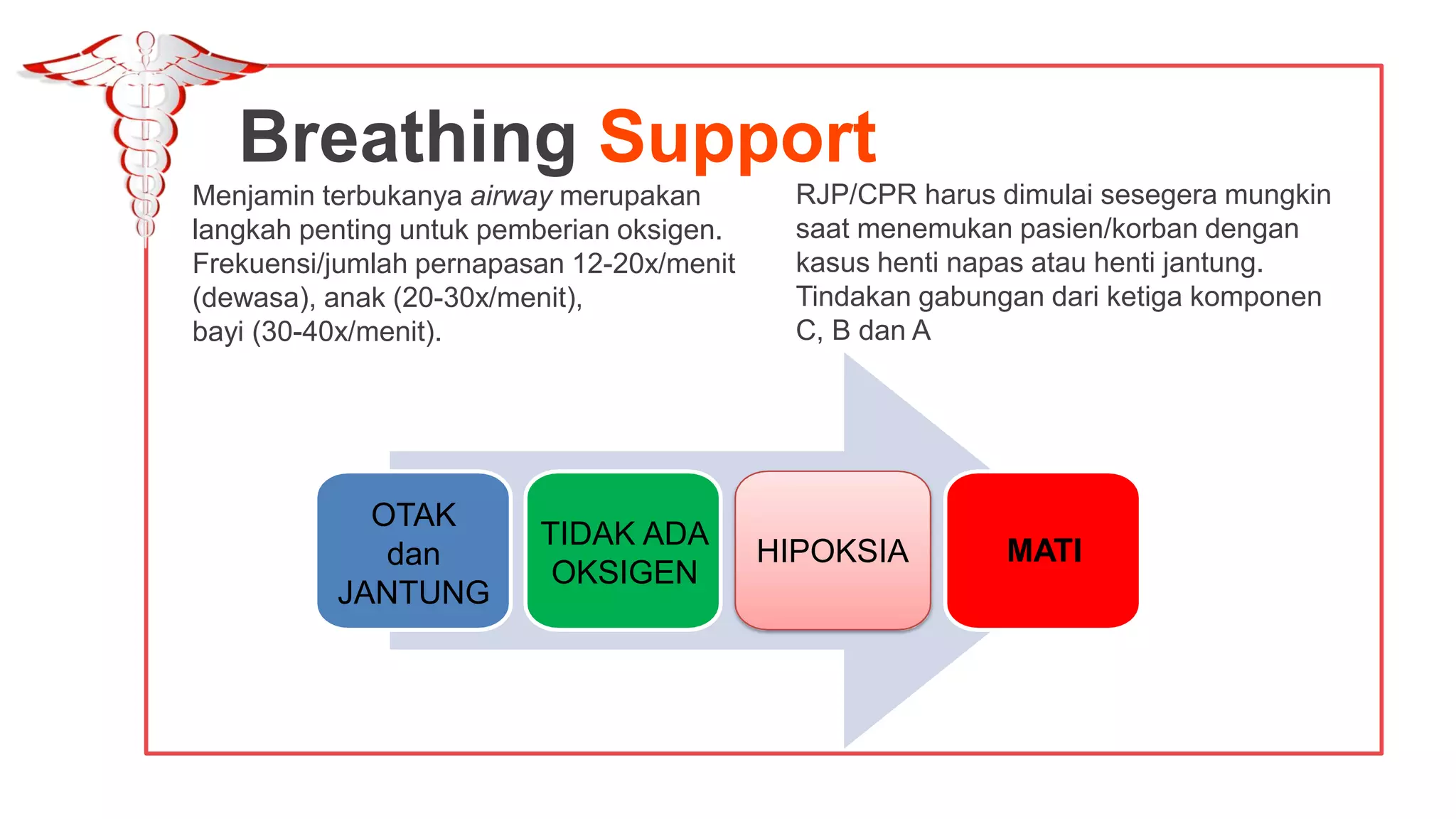 Basic First Aid | PDF