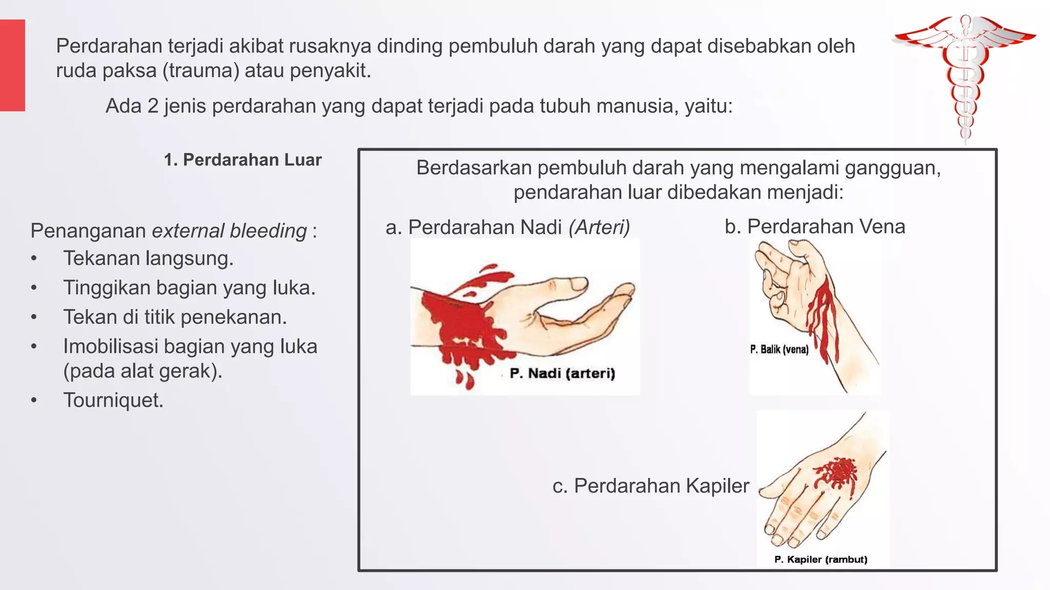 Basic First Aid | PDF