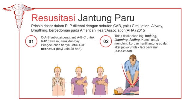 Basic First Aid | PDF