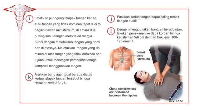 Basic First Aid | PDF