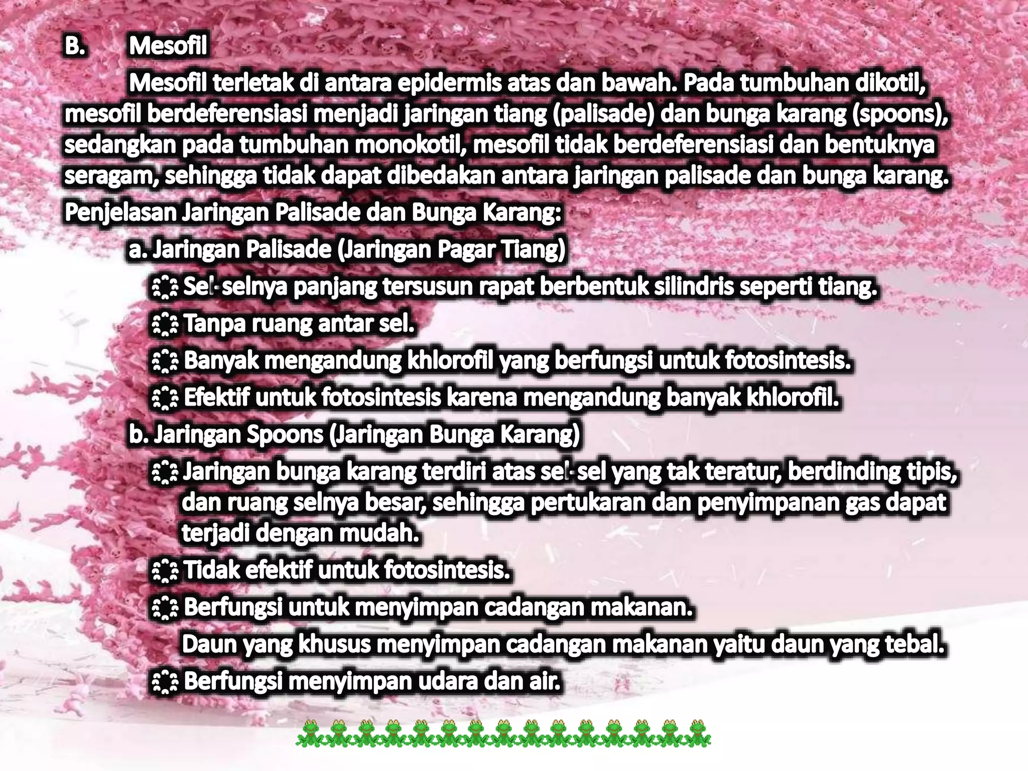 Struktur dan Fungsi Jaringan Pada Daun | PPTX