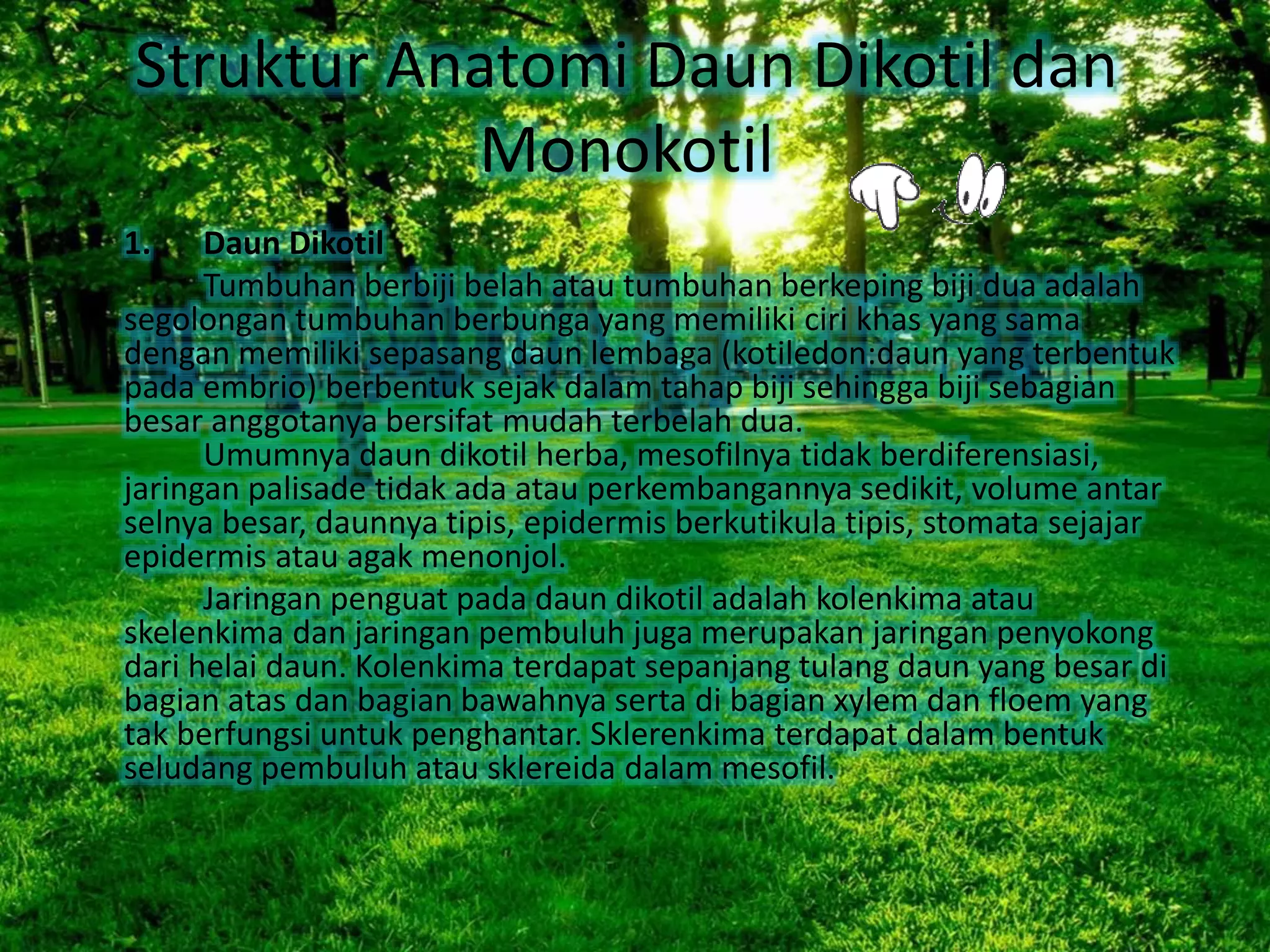 Struktur dan Fungsi Jaringan Pada Daun | PPTX