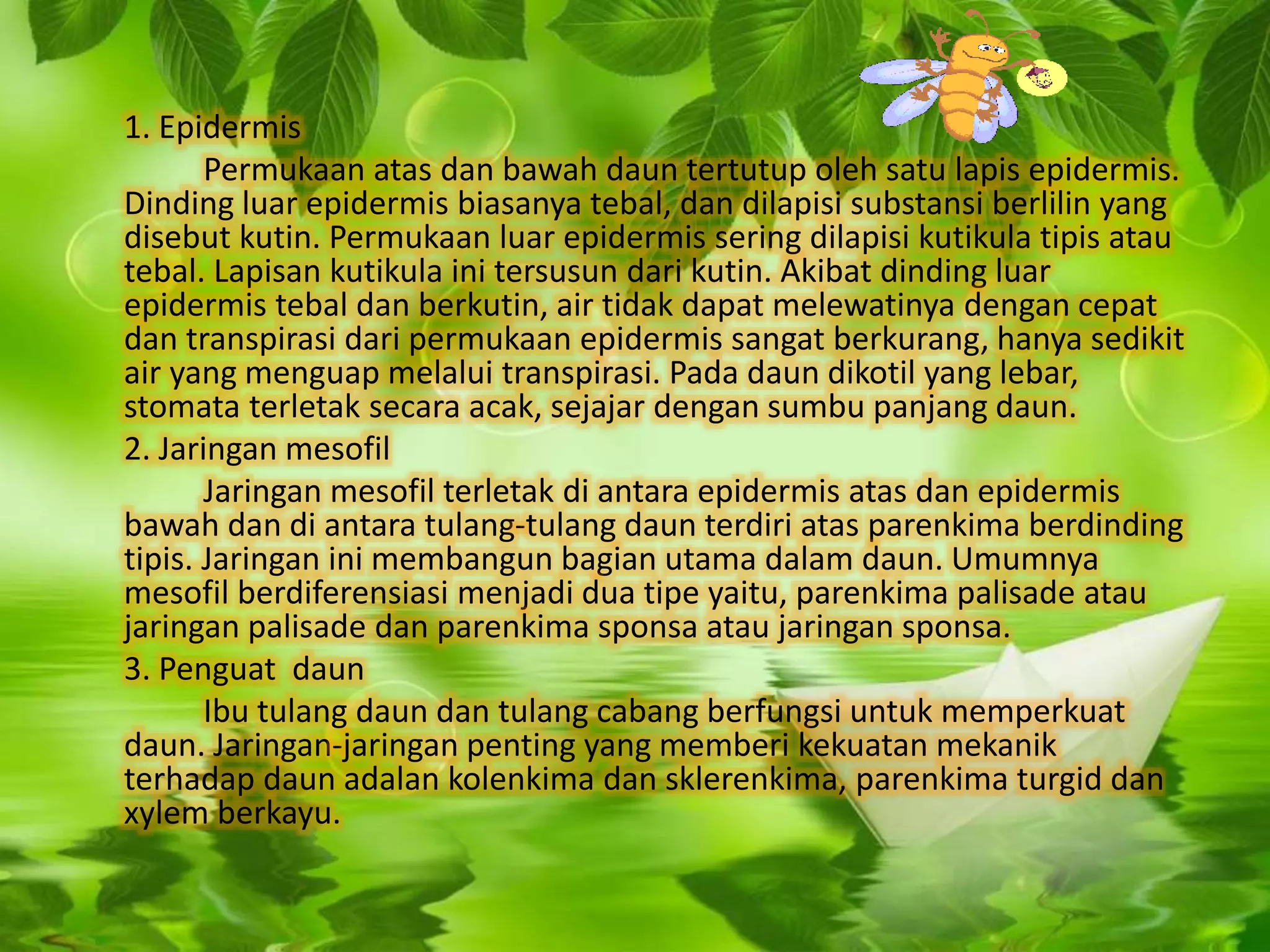 Struktur dan Fungsi Jaringan Pada Daun | PPTX