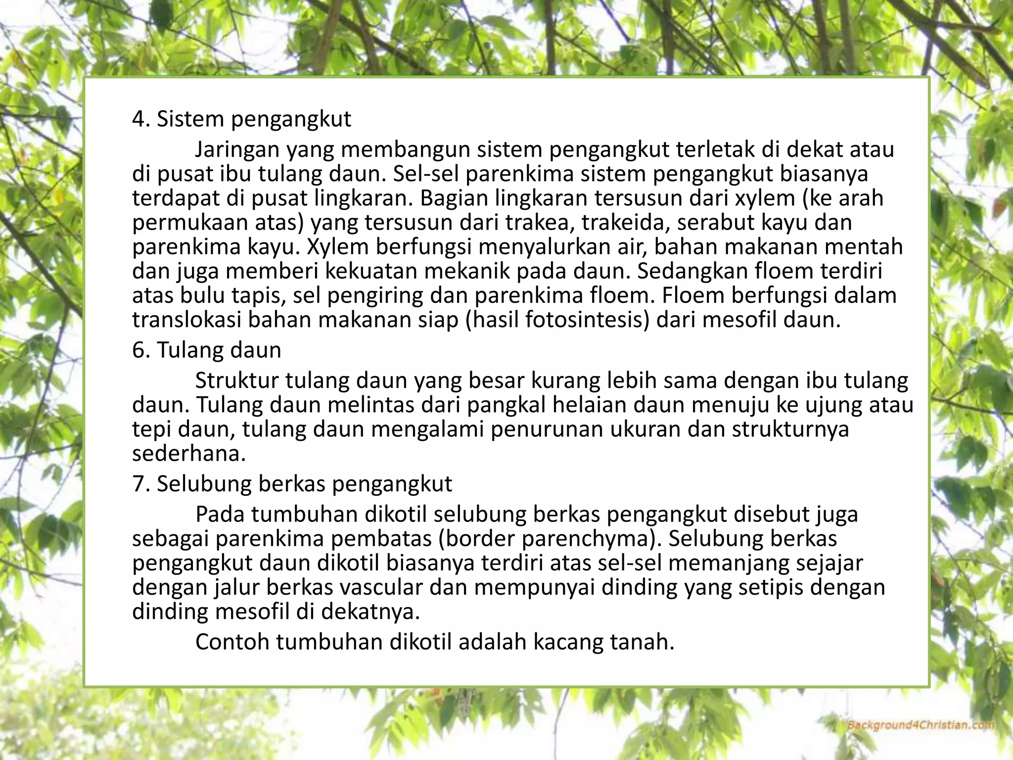 Struktur dan Fungsi Jaringan Pada Daun | PPTX