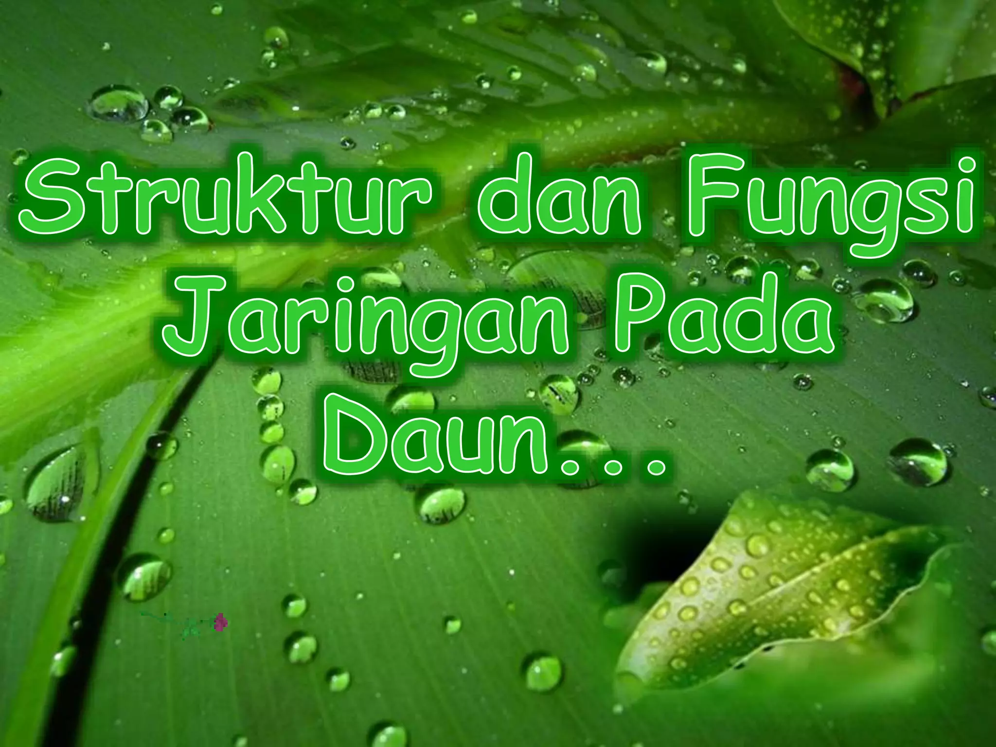 Struktur dan Fungsi Jaringan Pada Daun | PPTX
