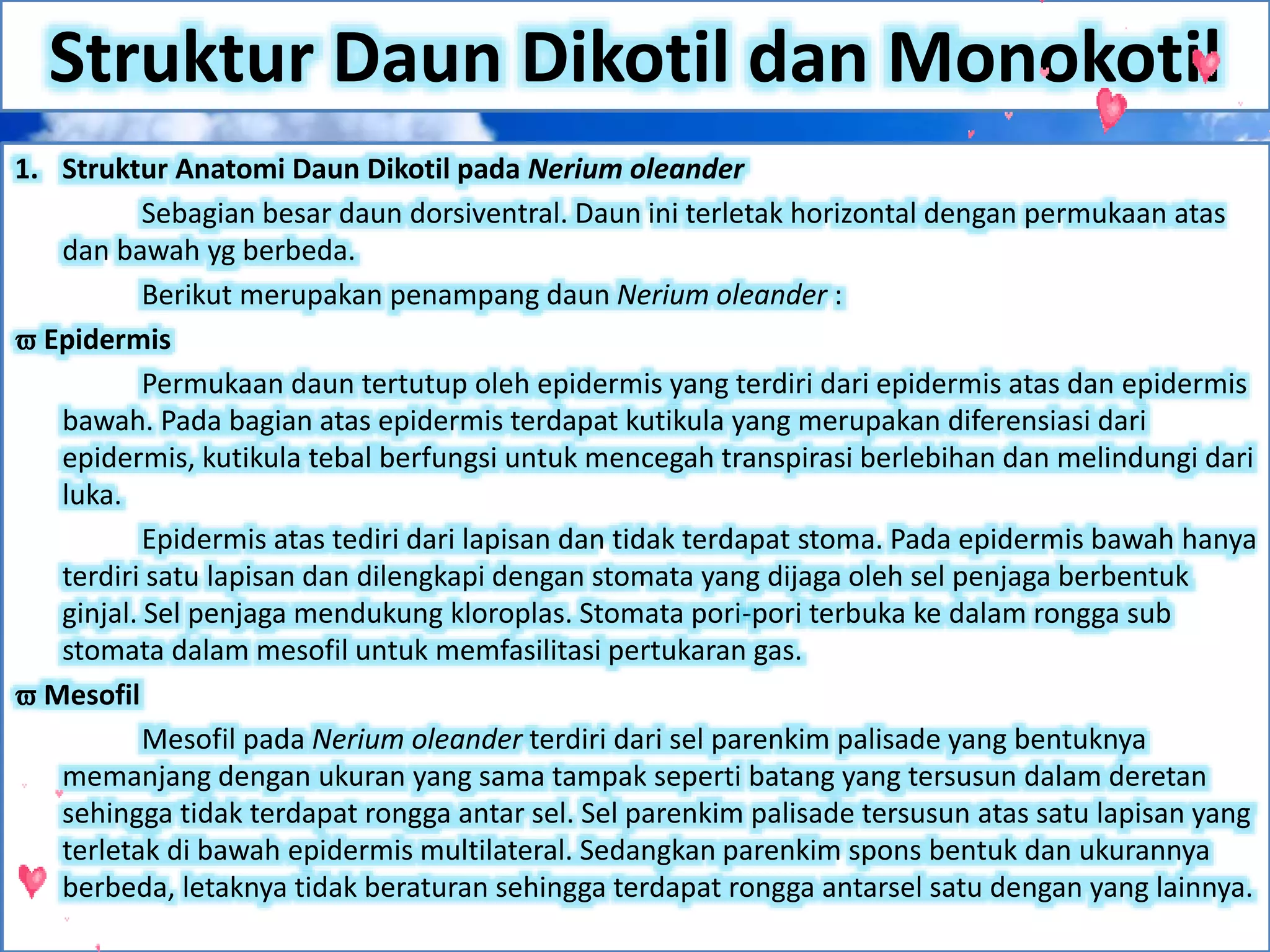 Struktur dan Fungsi Jaringan Pada Daun | PPTX