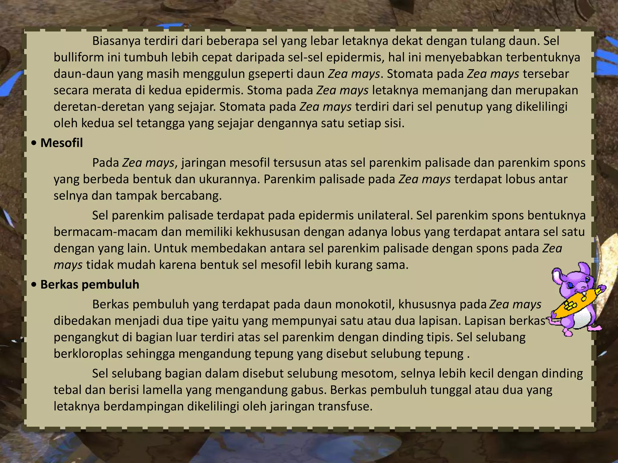 Struktur dan Fungsi Jaringan Pada Daun | PPTX