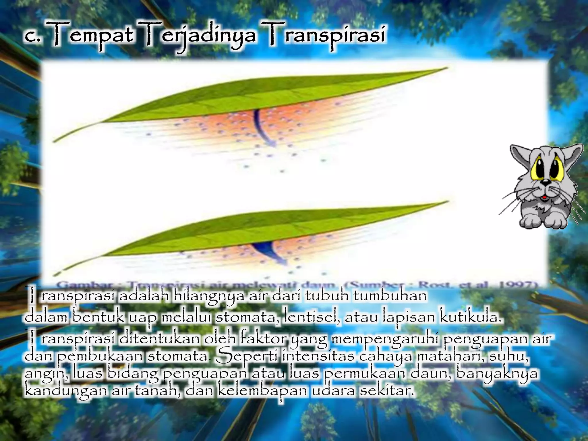 Struktur dan Fungsi Jaringan Pada Daun | PPTX